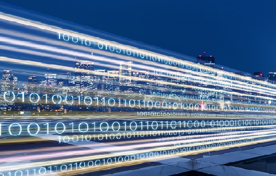 Data Workbench - TRL Software